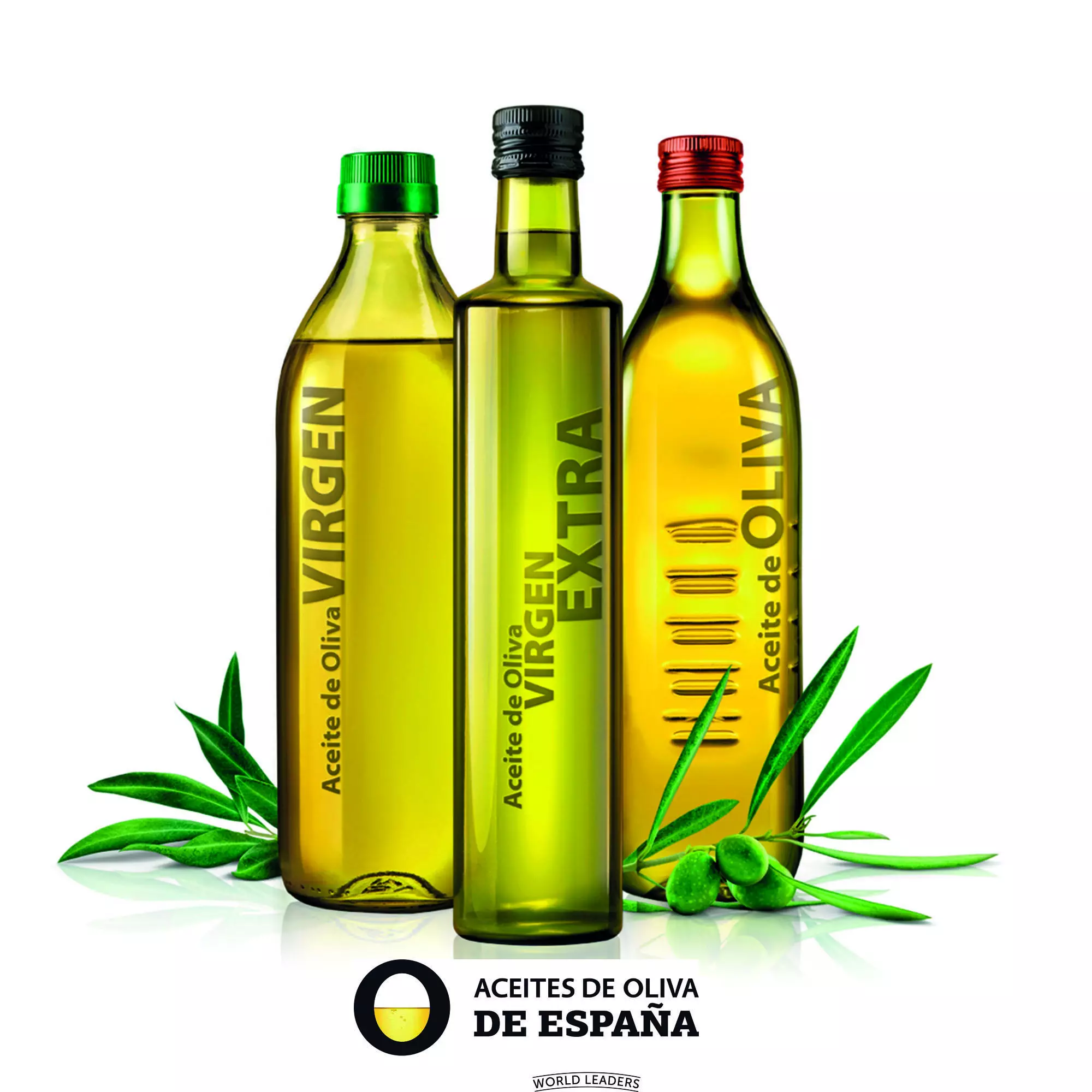 three varieties of olive oil olive, virgin olive and extra virgin olive