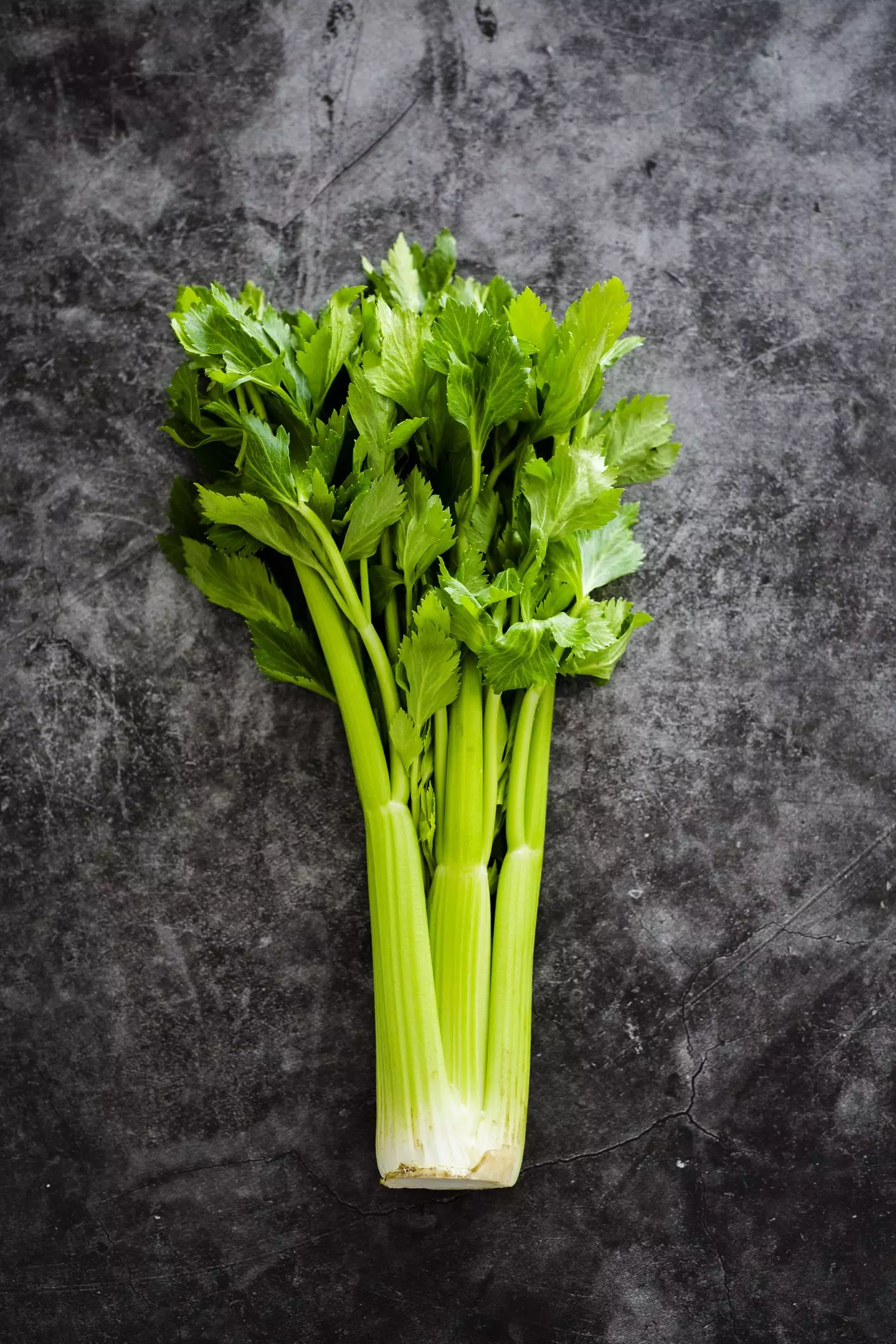 Celery, faa'iidooyinkeeda iyo habka loo cuno