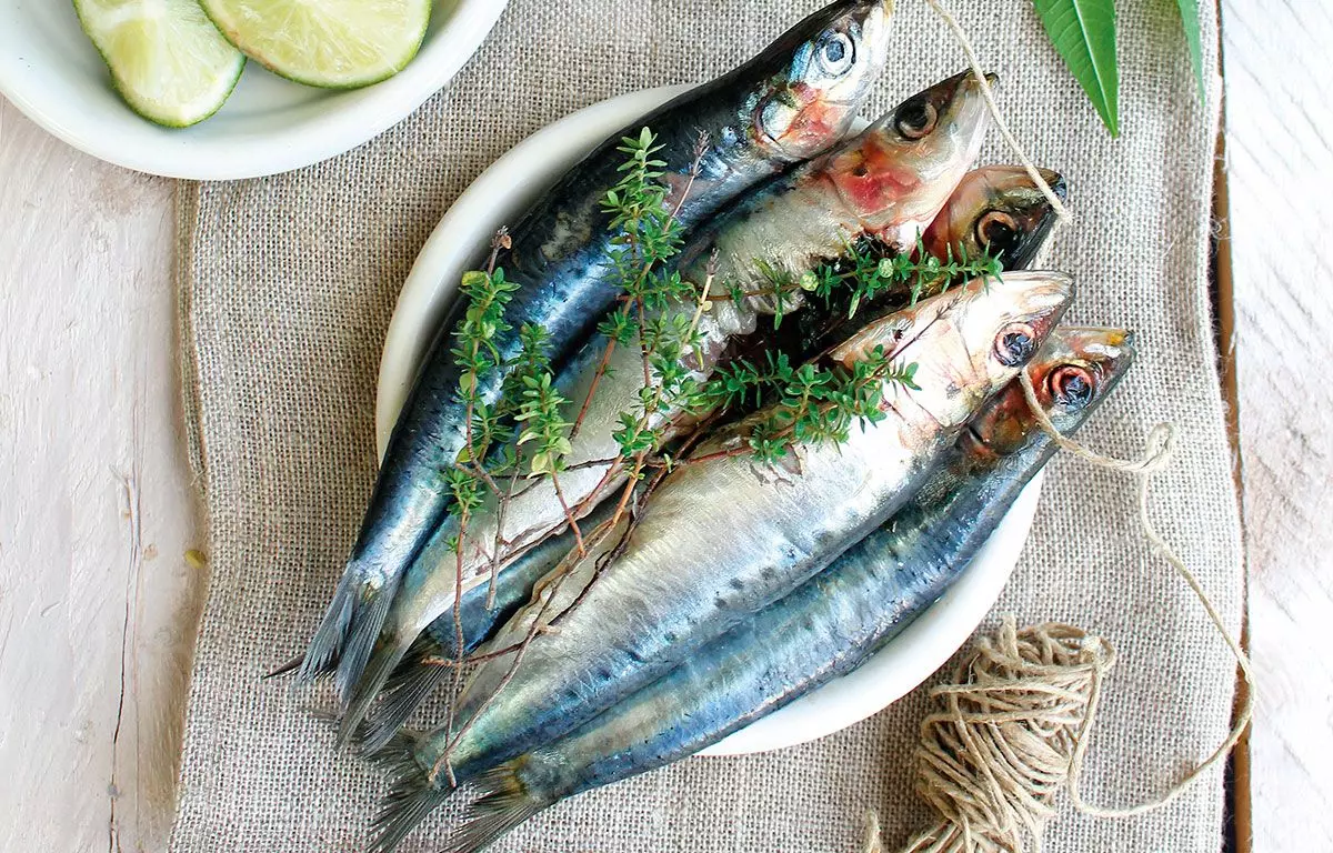 Sardines : propriétés et bienfaits pour votre santé