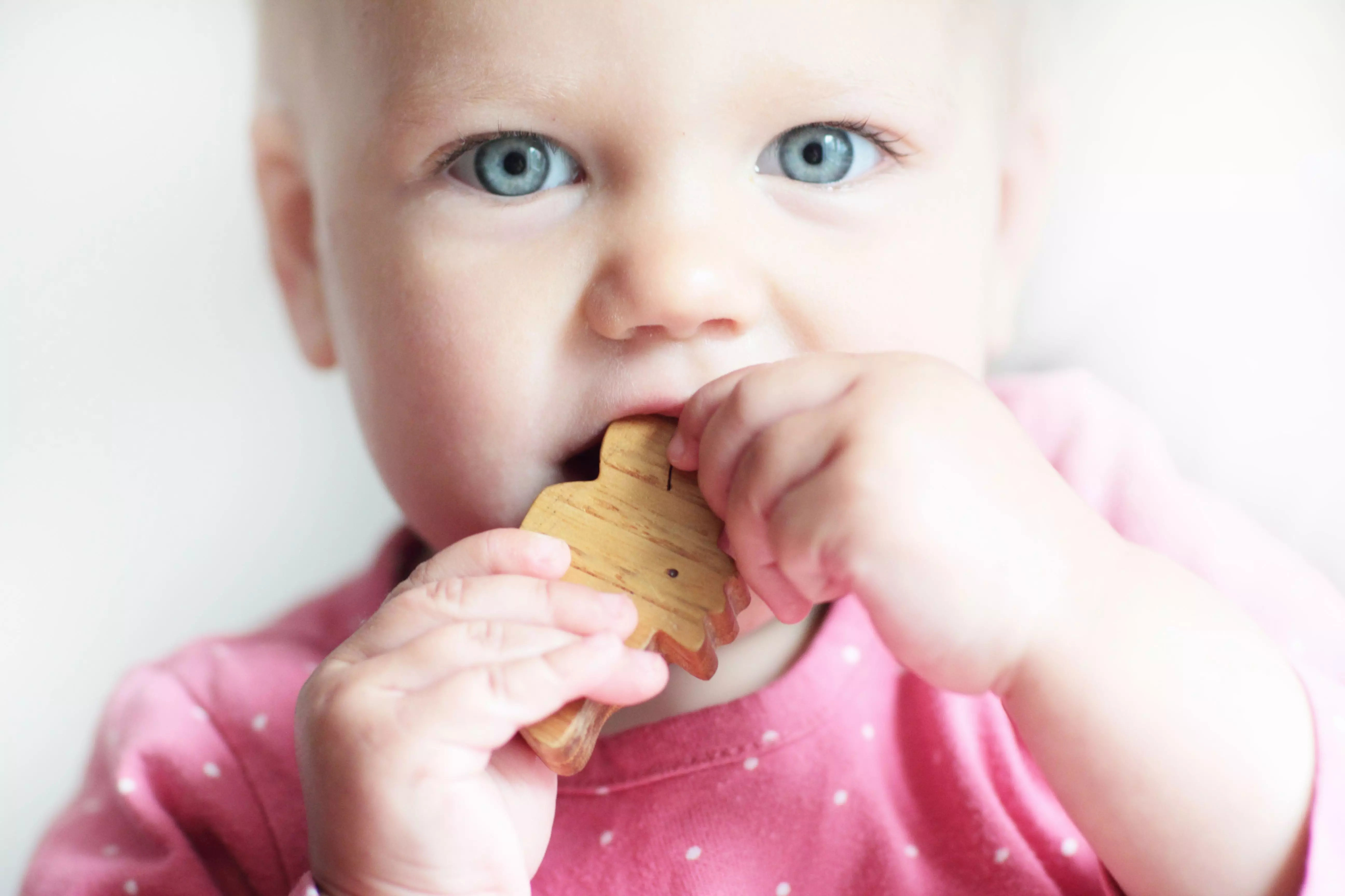 bayi dengan mainan kayu di mulut
