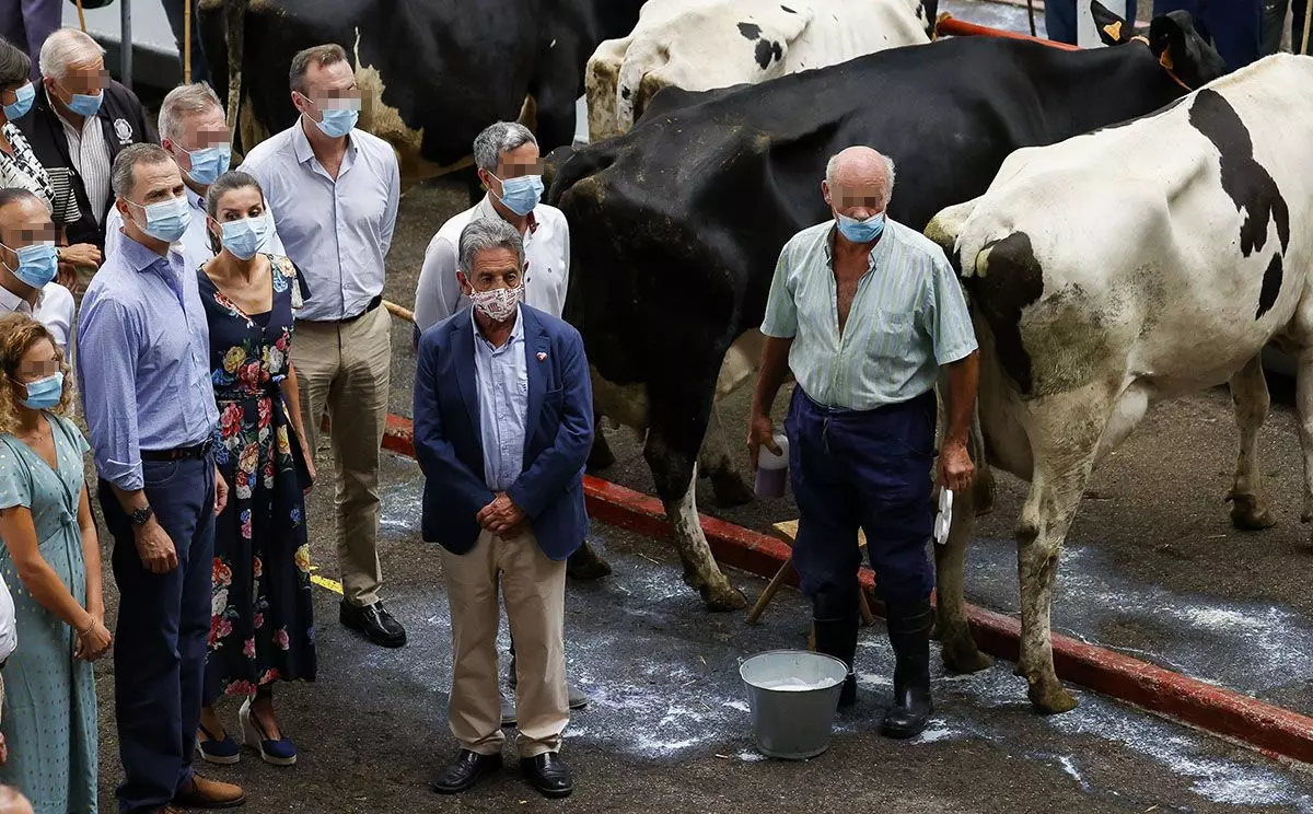 felip i letizia amb miguel Ángel revilla al mercat de bestiar de torrelavega a cantàbria