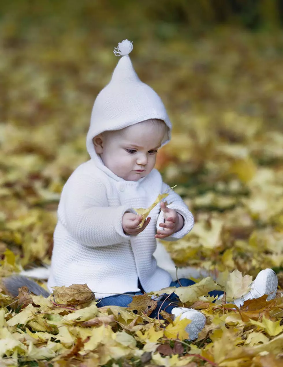 Barn, blad, gul, høst, småbarn, fotografi, baby, servise, lek,