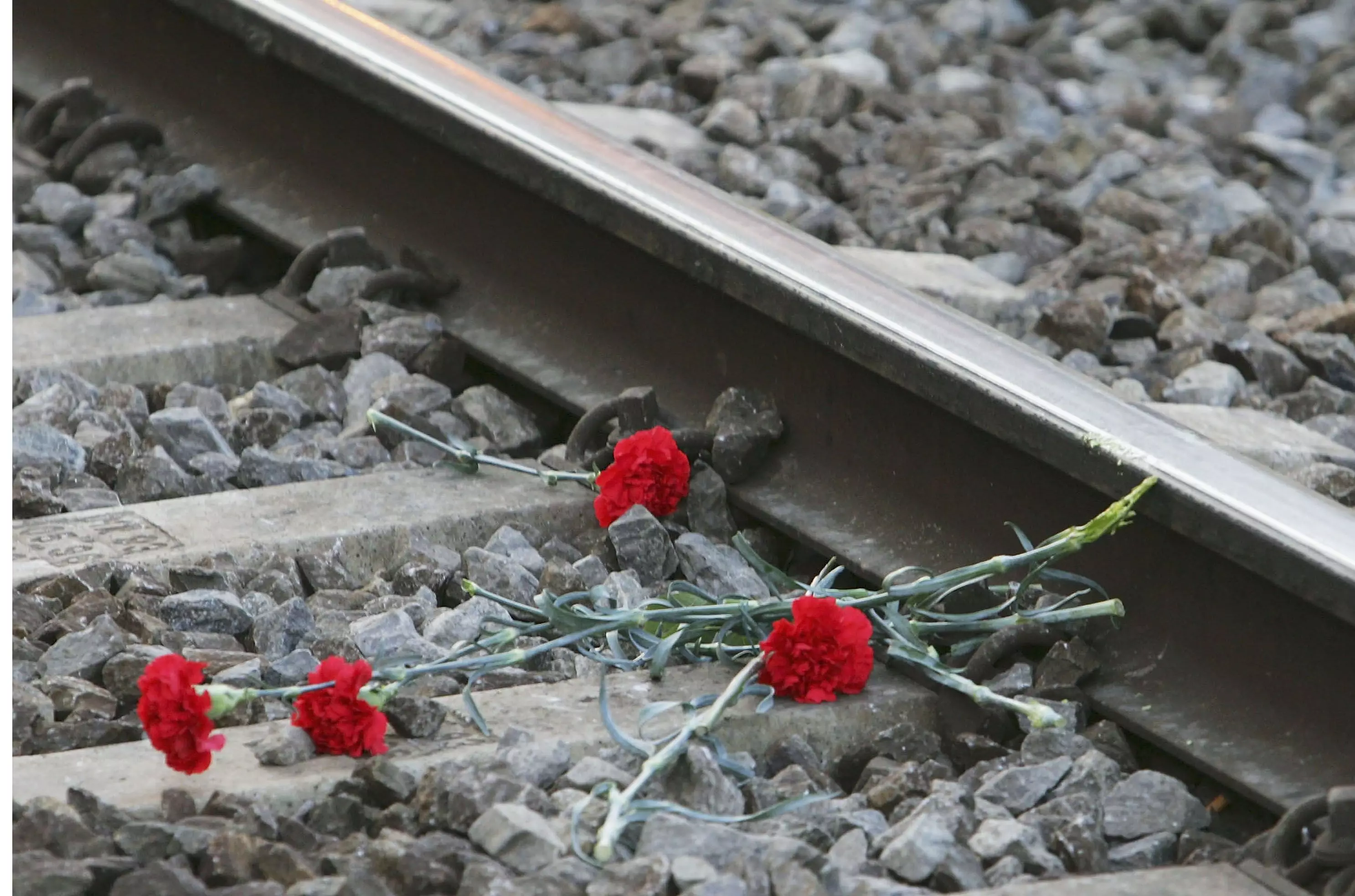 إسبانيا تحيي الذكرى الأولى لهجوم قطار إرهابي