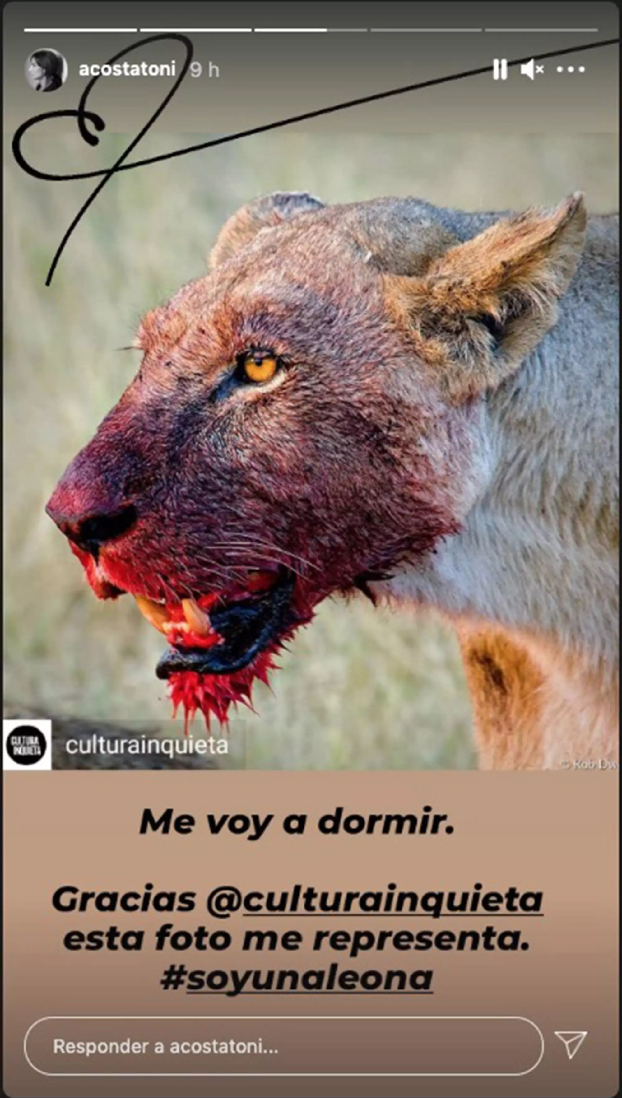 toni acosta e sua guerra no instagram com anabel alonso foto de uma leoa com a boca sangrando