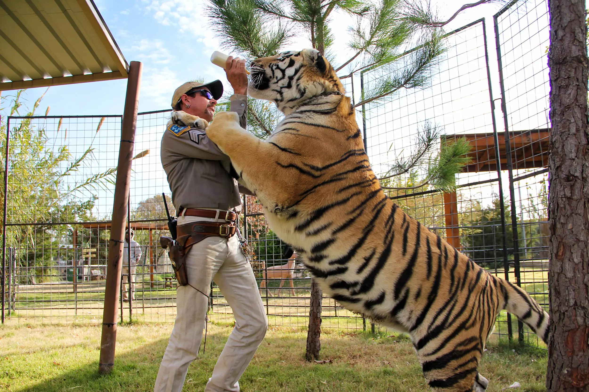 „Tiger King“ je séria odhalení Netflixu