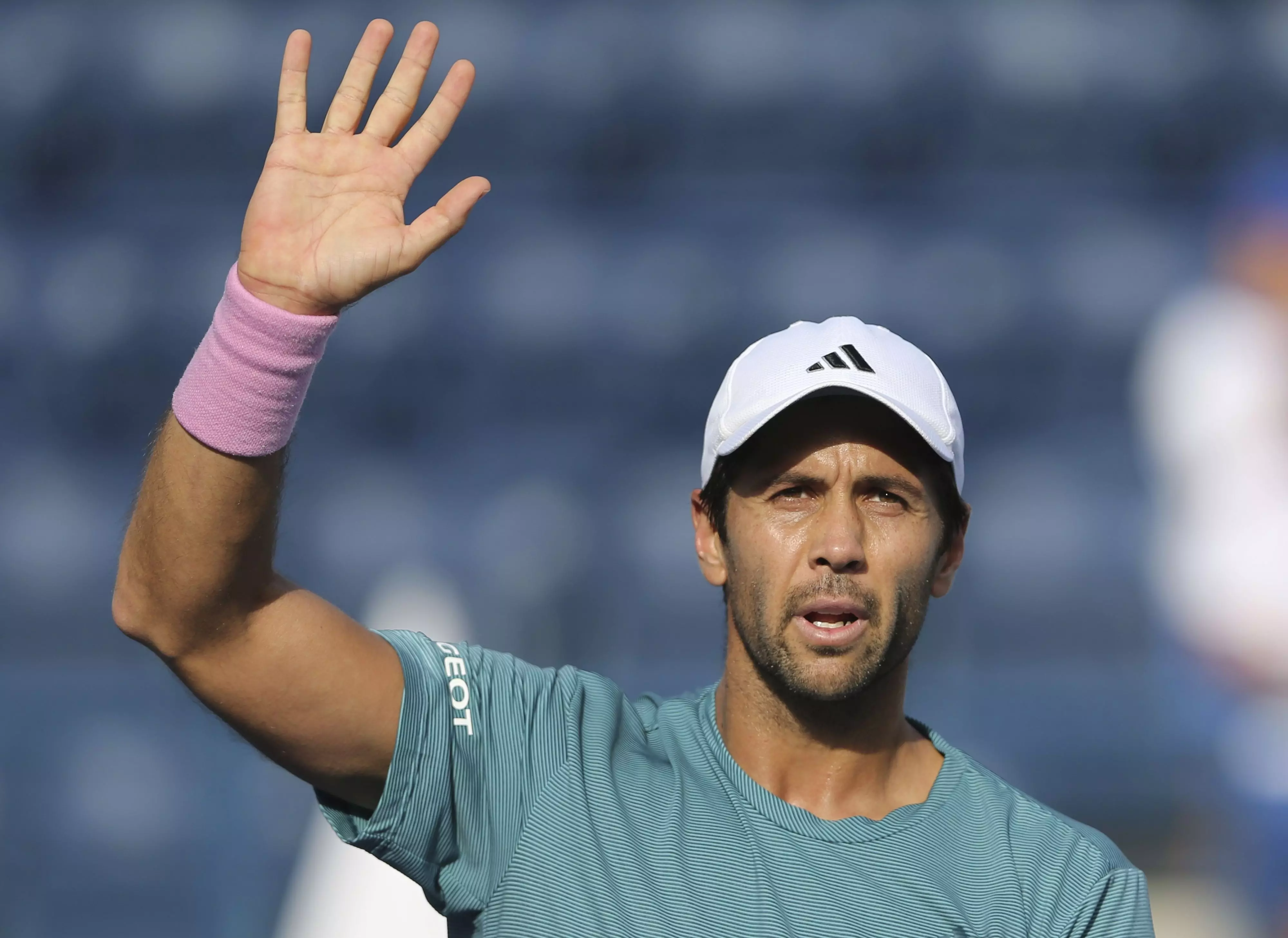 Fernando Verdasco, Davis Cup, Verdasco, Sergi Bruguera