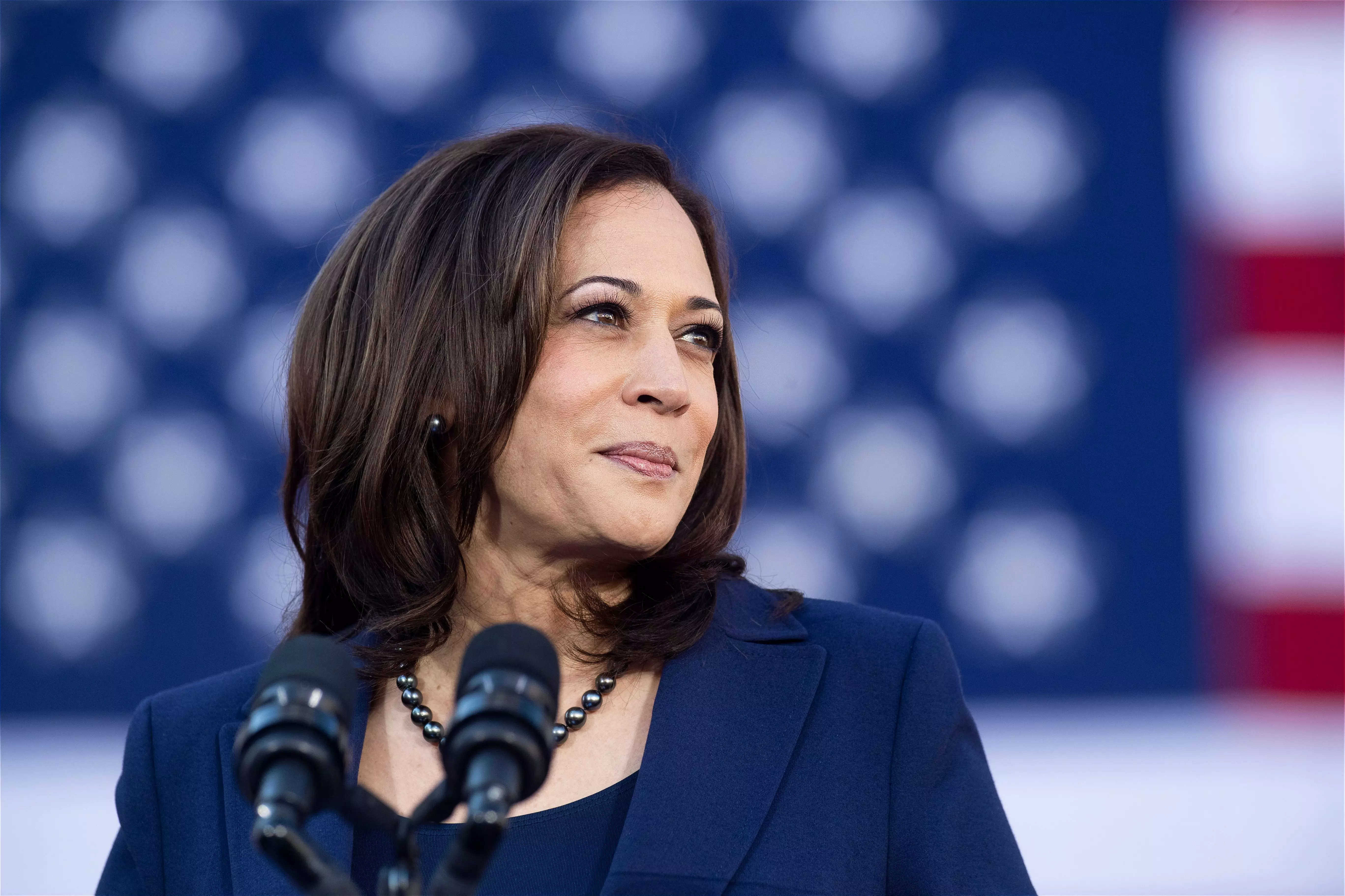 Ny mombamomba an'i Kamala Harris, mpiara-dia amin'i Joe Biden demokratika