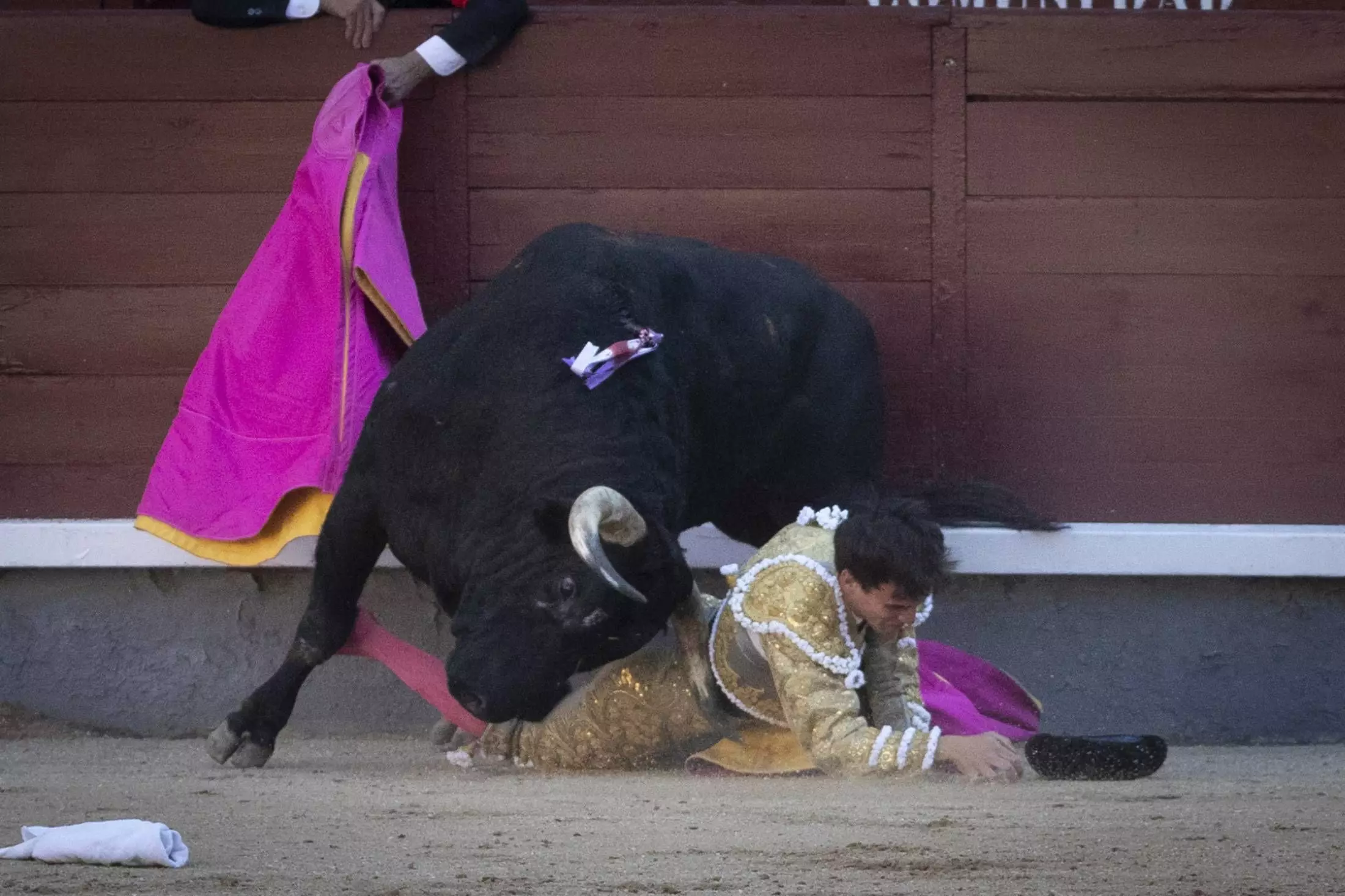 Gonzalo Caballero ya fusata Bullfight