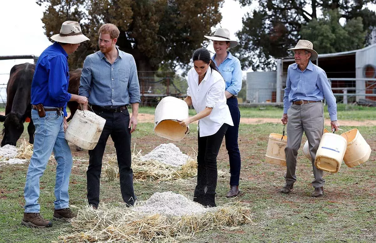 Harry meghan farm australia