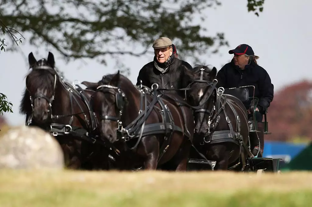 Mënsch, Bridle, Halter, Päerdsmaterial, Rein, Päerdstack, Päerd, Aarbechtsdier, Päerdsgurt, Kutsch,