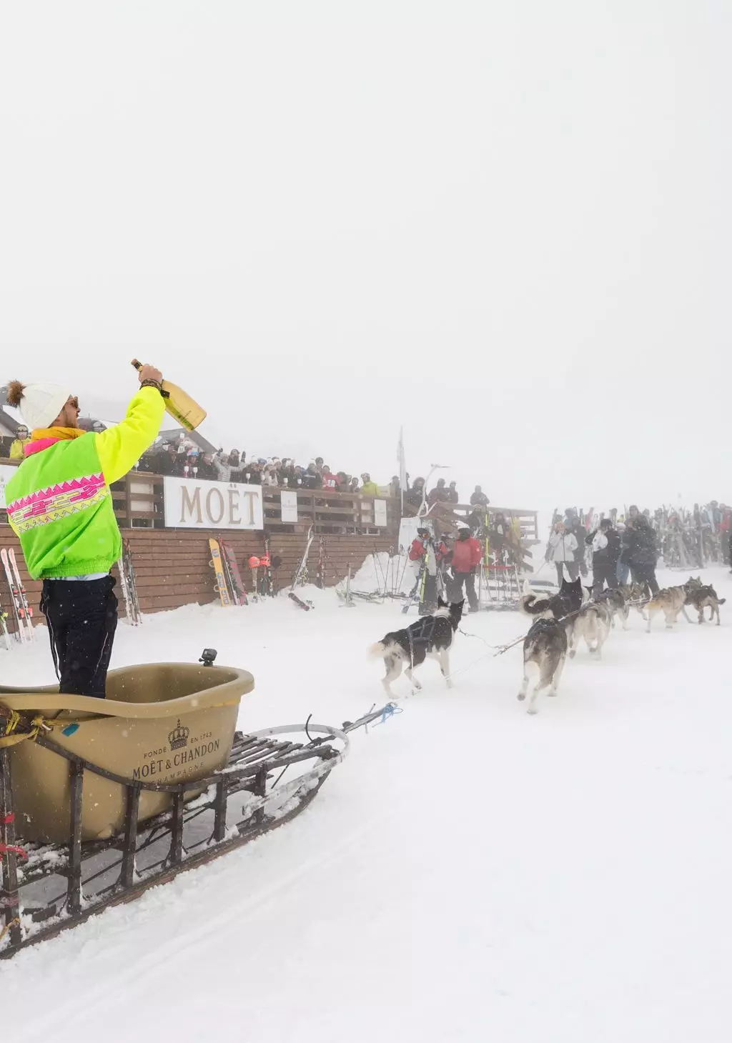 雪、冬、凍結、乗り物、そり犬、氷、レクリエーション、冬の嵐、ブリザード、北極、