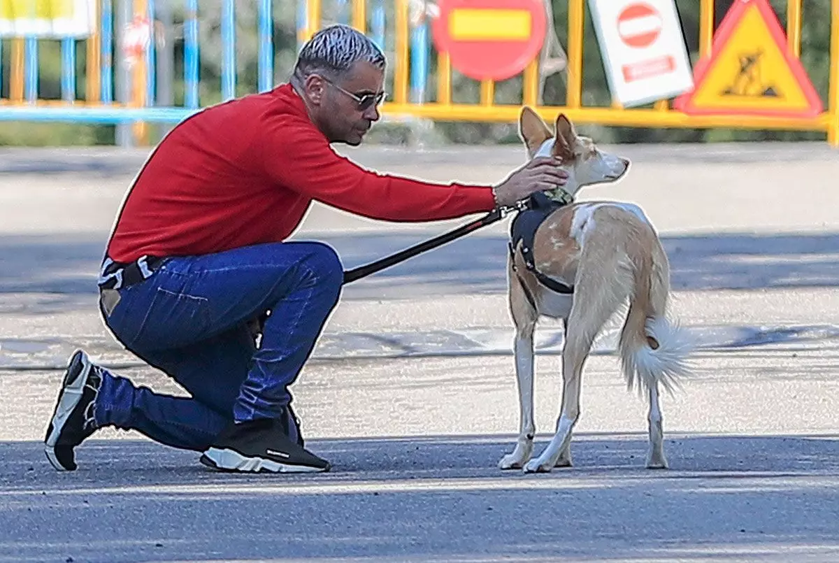 Jorge Javier Vázquez jimxi mal-klieb tiegħu fl-irkupru tiegħu