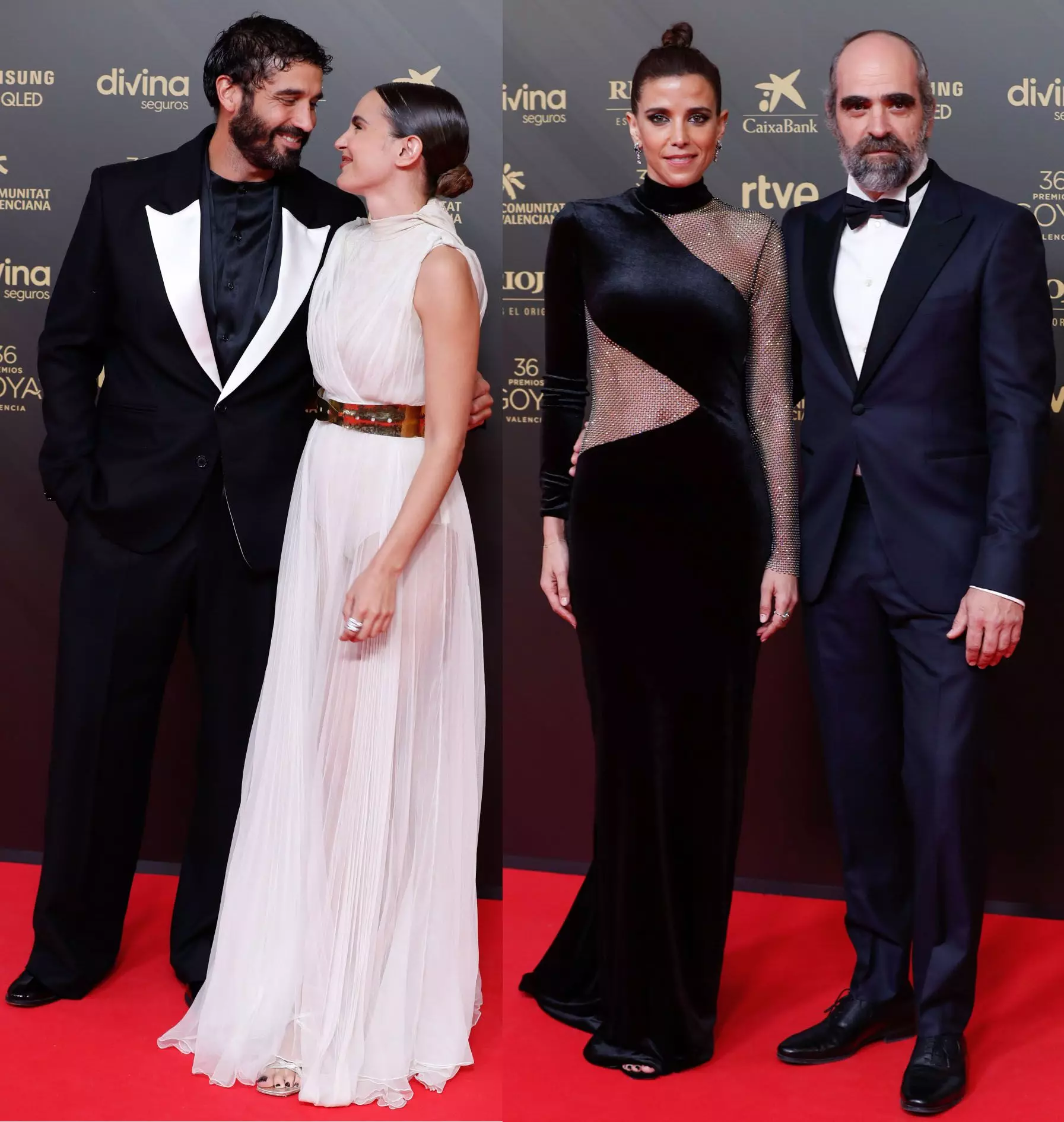 Álex García และ Verónica Echegui หรือ María Luisa Mayol และ Luis Tosar ในค่ำคืนอันยิ่งใหญ่ของโรงภาพยนตร์สเปน