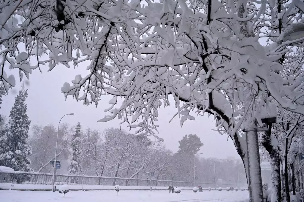 马德里的雪