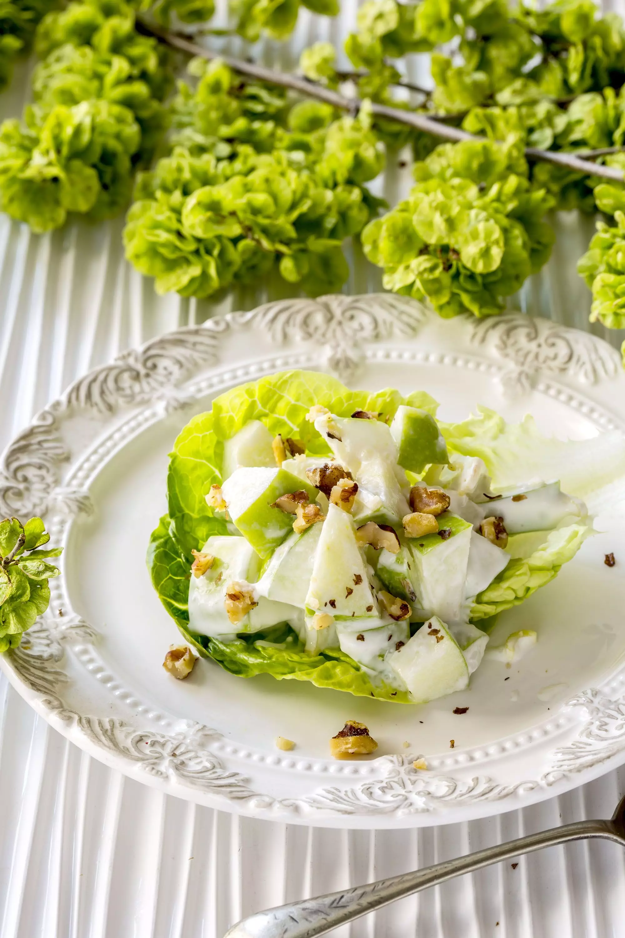 Salade pomme et céleri