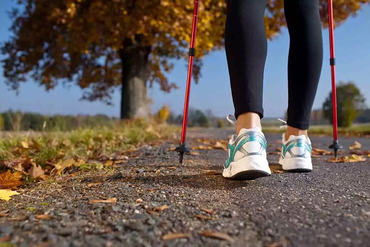 List, Strom, Obuv, Žlutá, Podzim, Lidská noha, Bota, Nordic Walking, Chůze, Noha,