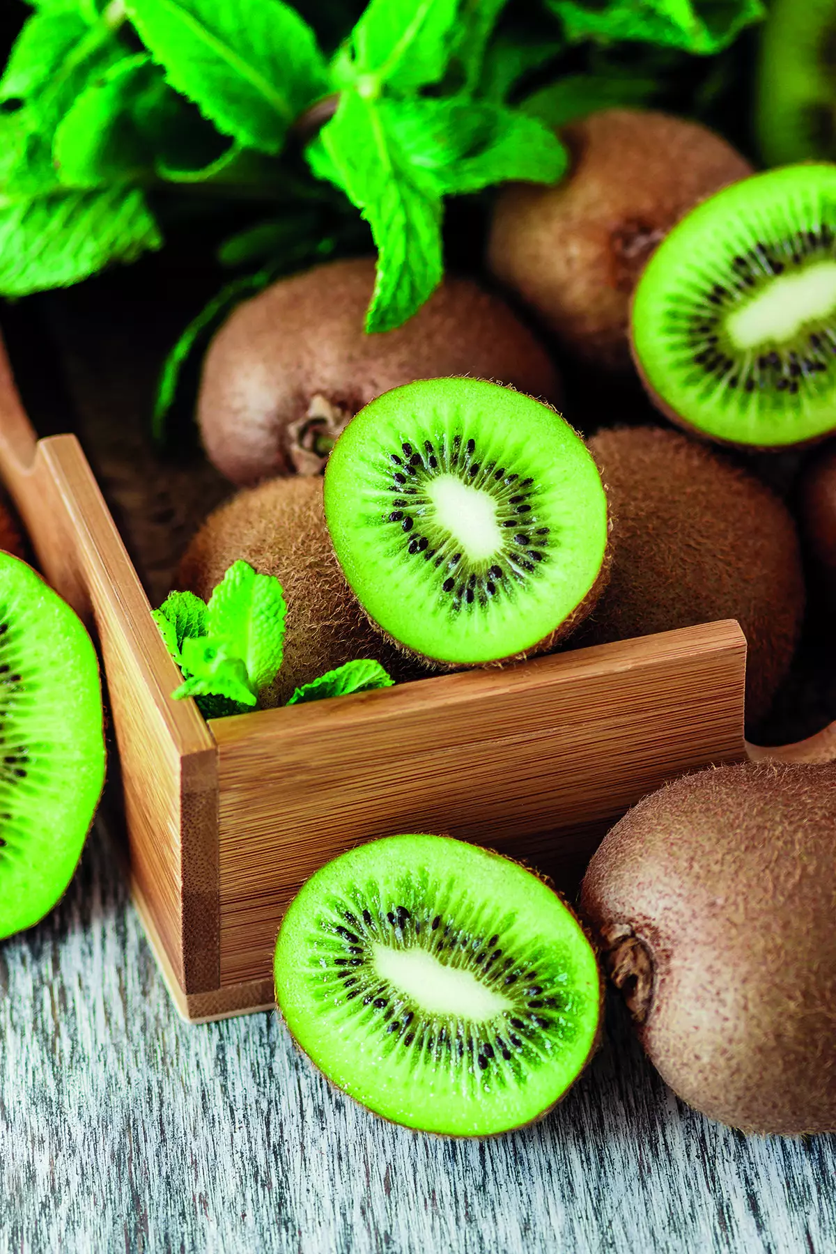 kothak karo kiwi, pangan kang kita pitutur marang kowe kabeh keuntungan