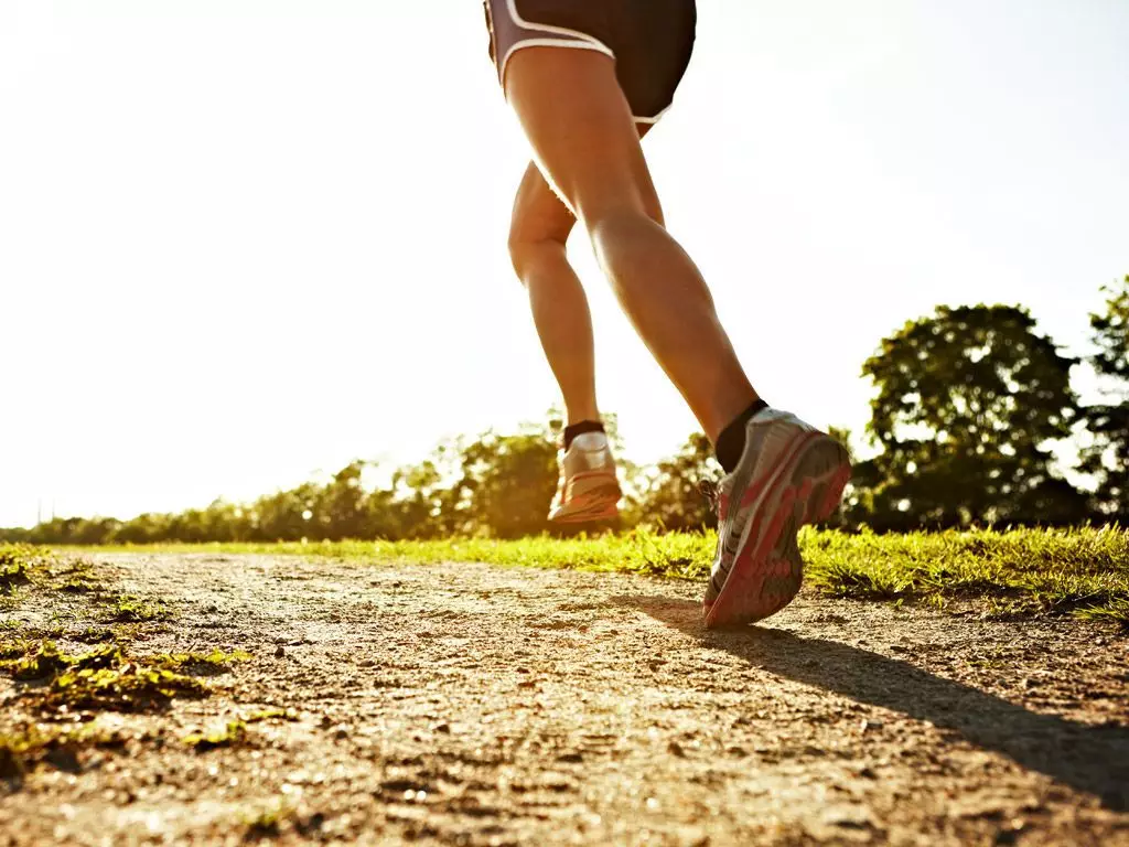 Brun, Mänskligt ben, Sko, Människor i naturen, Solljus, Shorts, Knä, Vad, Aktiva shorts, Atletisk sko,