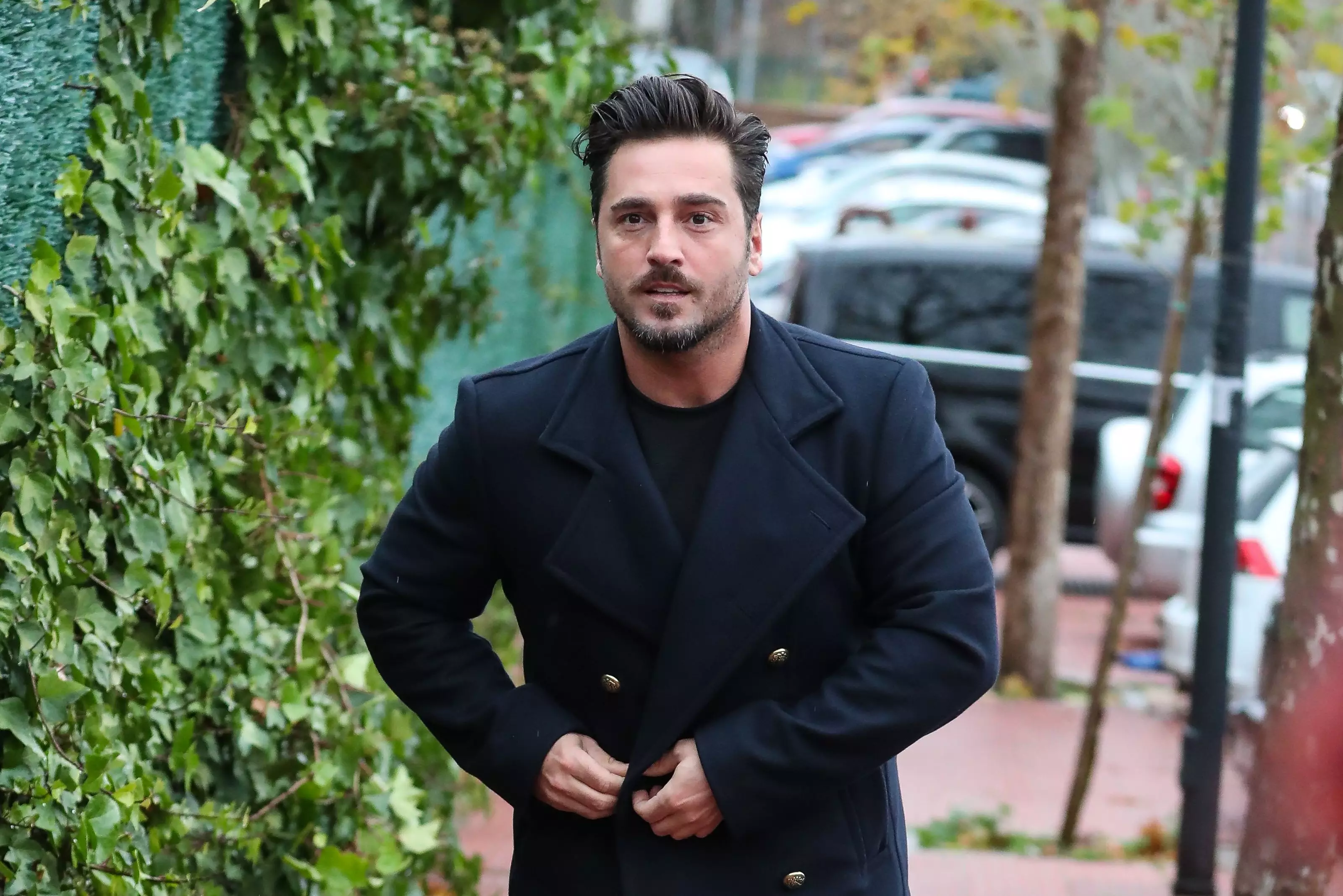 David Bustamante