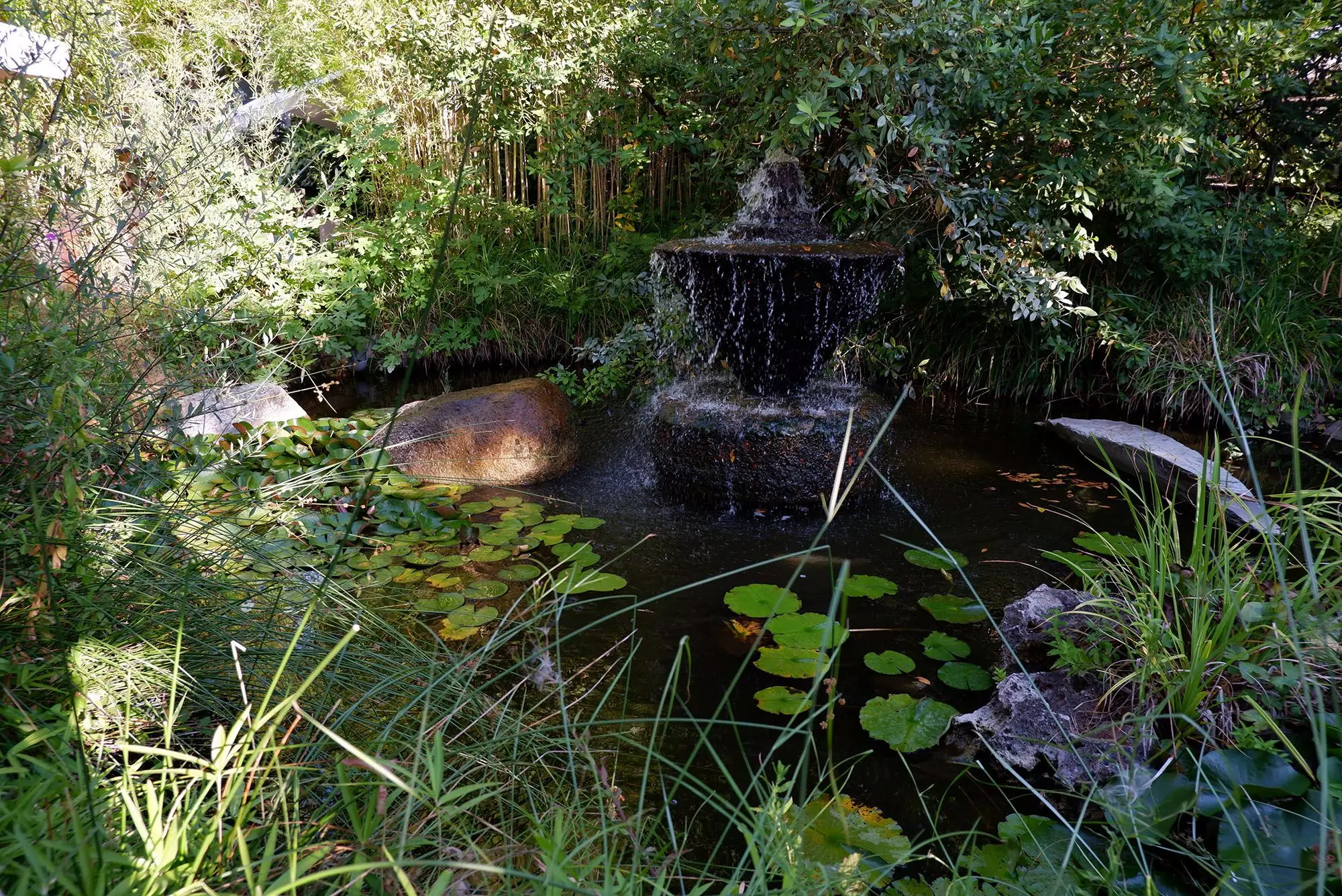 Los Peñotes Garden Center жана La Cupola рестораны