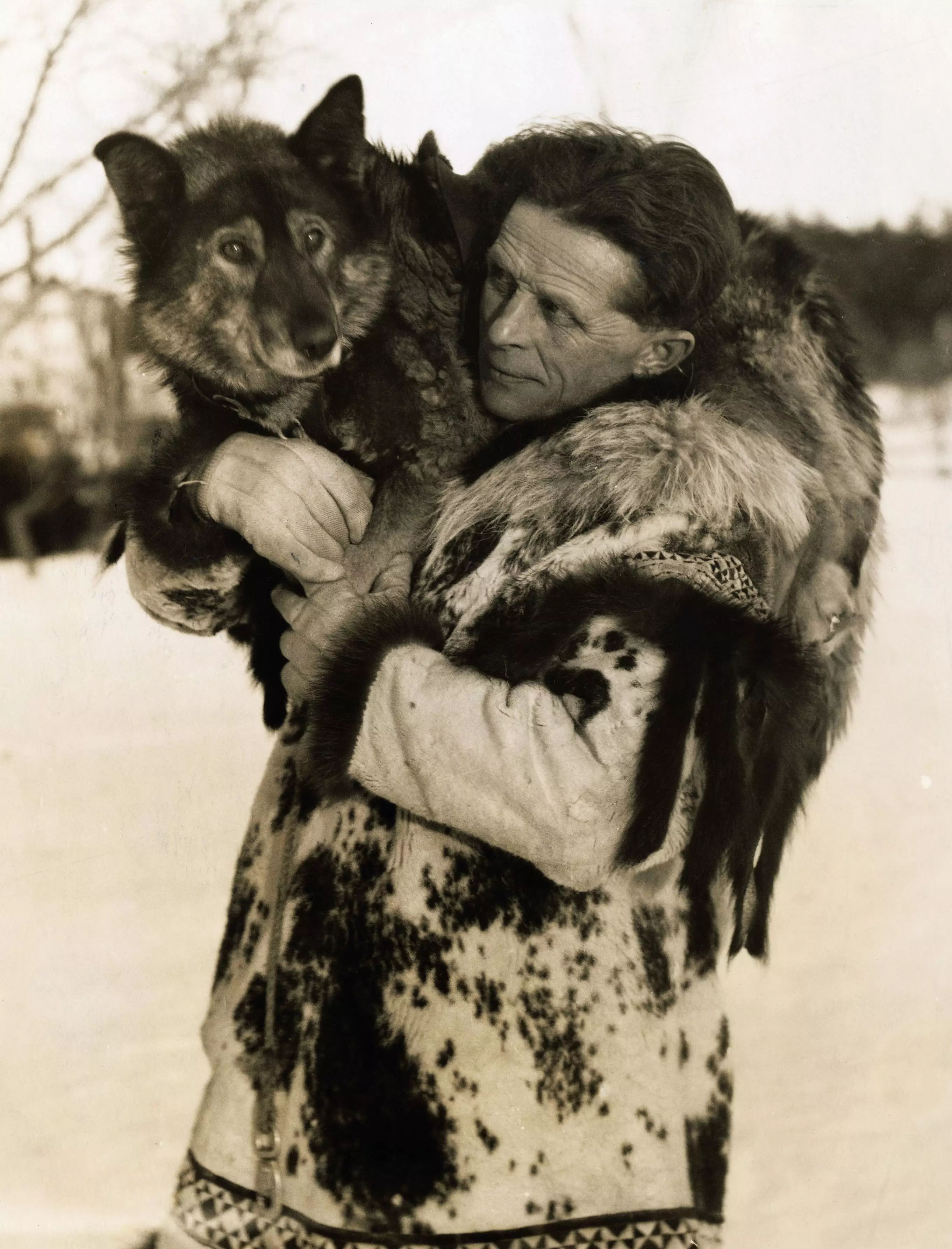 dog sled racer holding lead dog