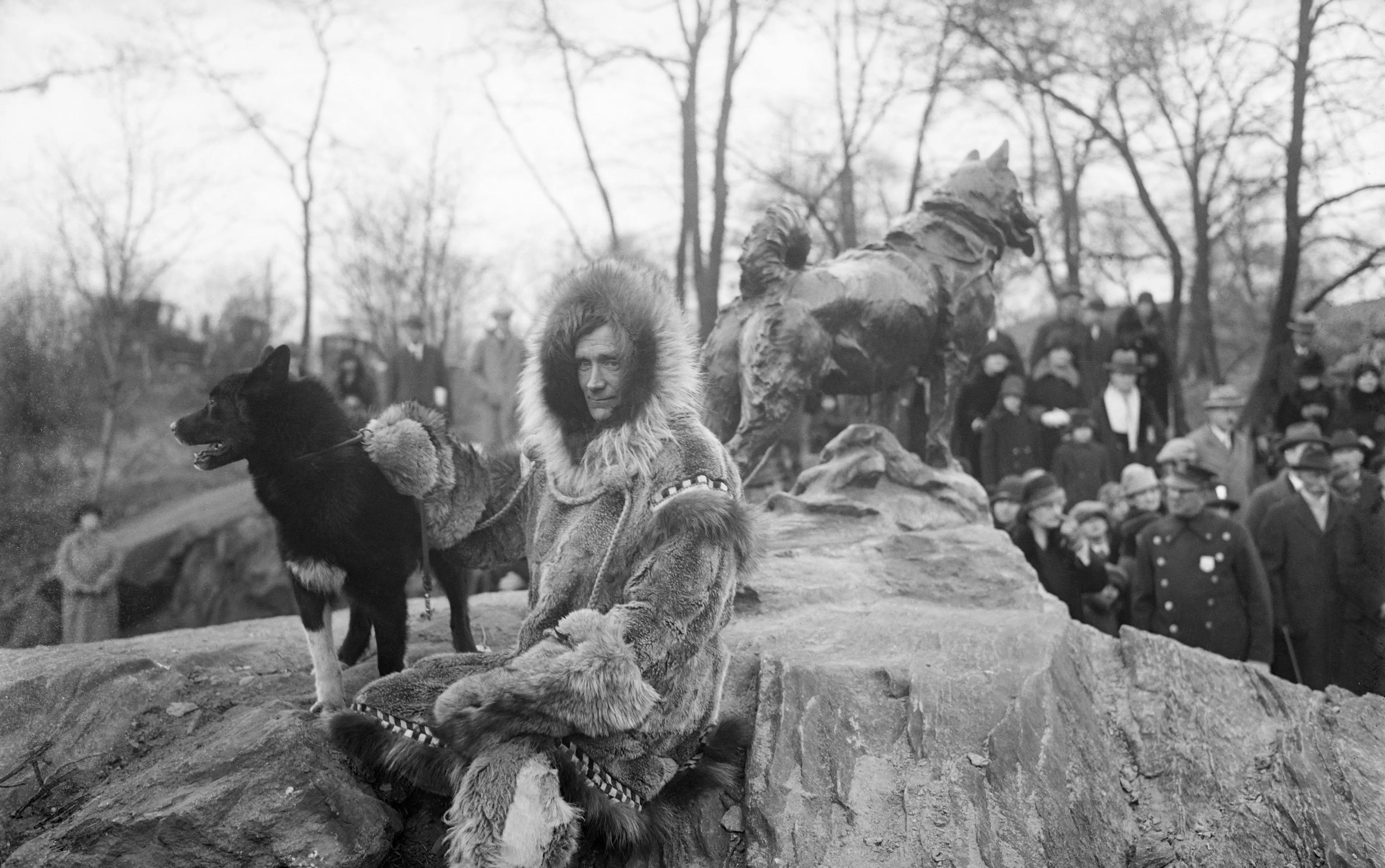 heroic sled dog and driver