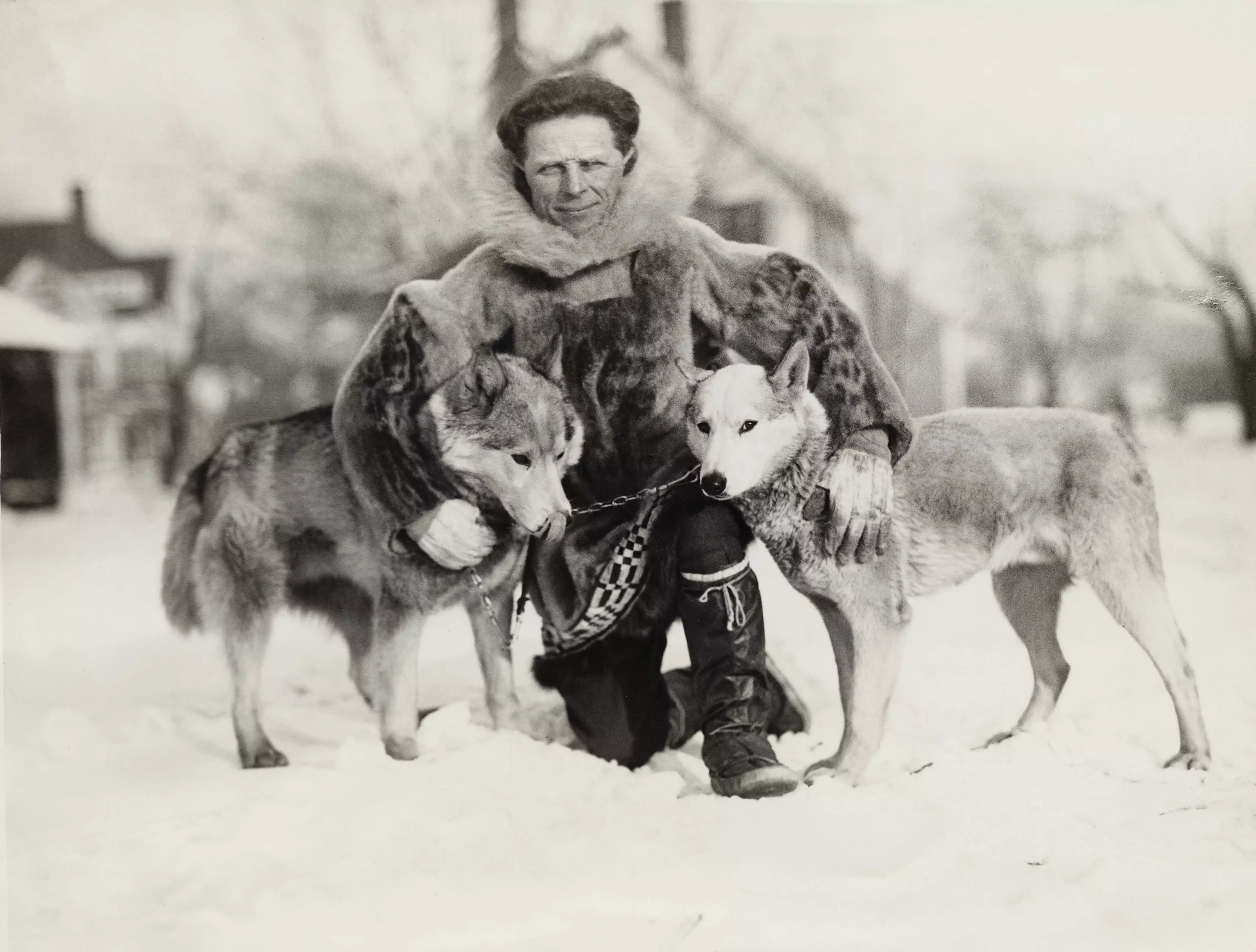 leonard seppala sitting with his dogs