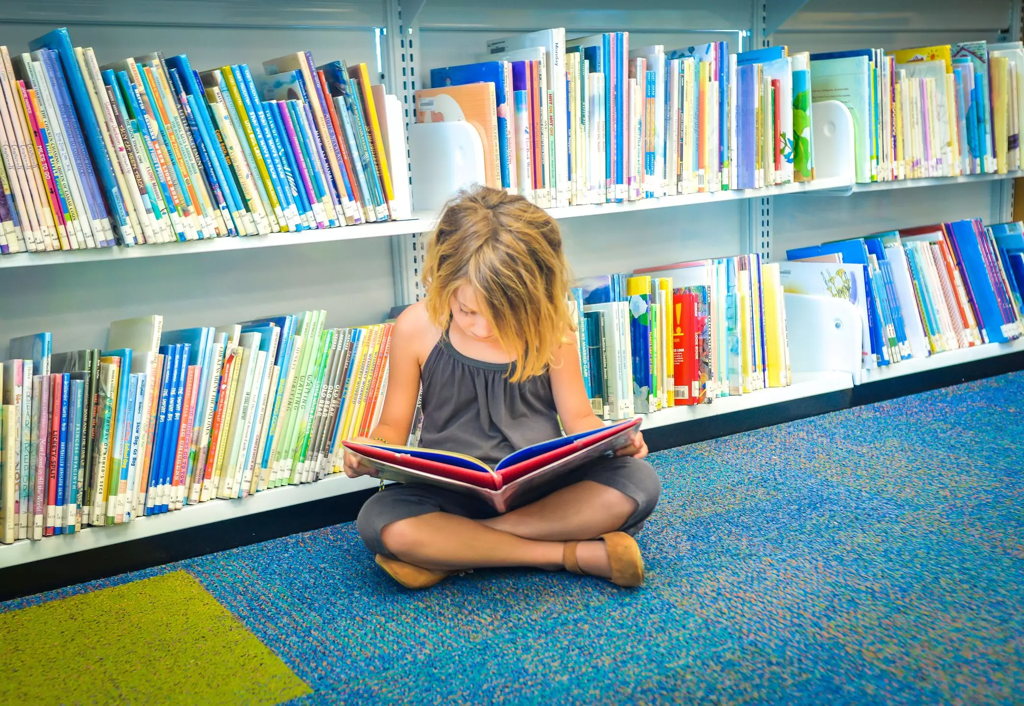 A libraría infantil Sopa de Sapo de Bilbao é moi famosa