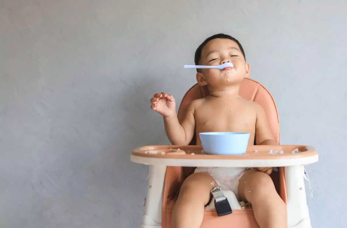 The 15 best highchairs for the baby: good and comfortable