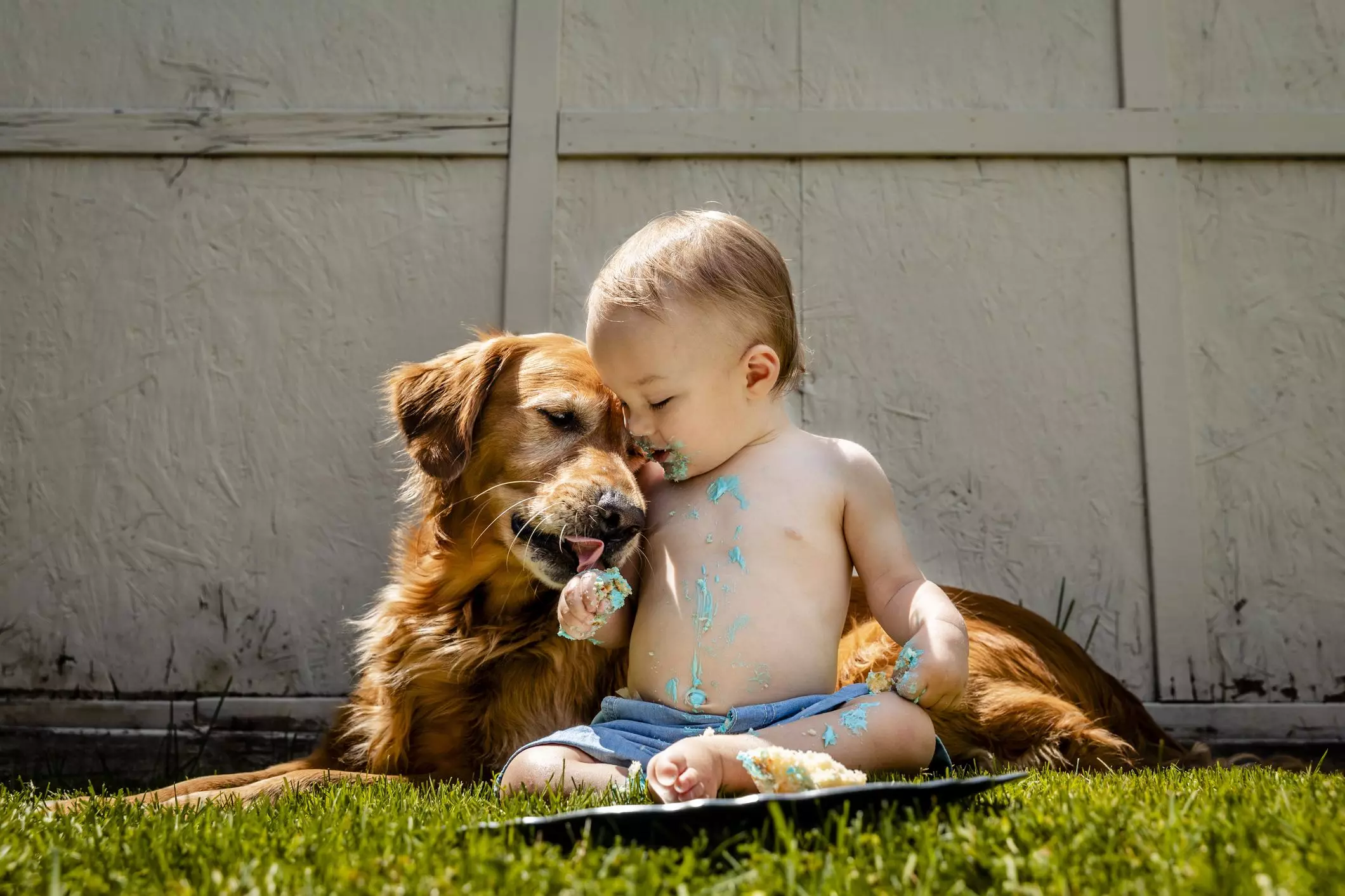 dieťa plné farby spolu so svojím psom