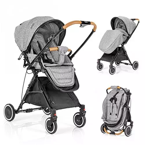 18 qhov zoo tshaj plaws strollers rau menyuam yaus 871_15