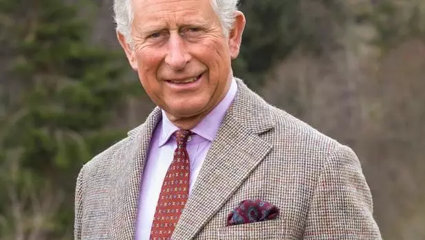 prince charles posing smiling