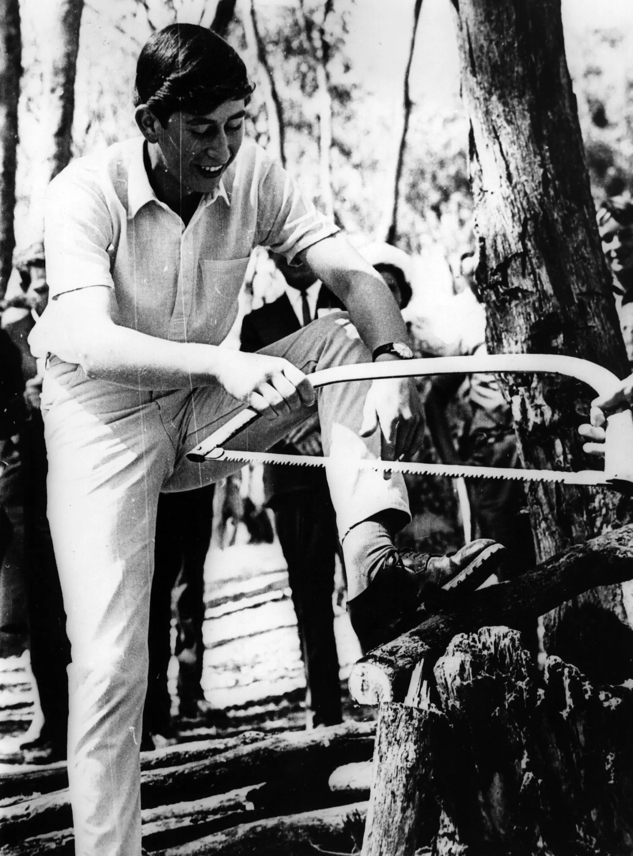 prince charles cutting down a tree in australia