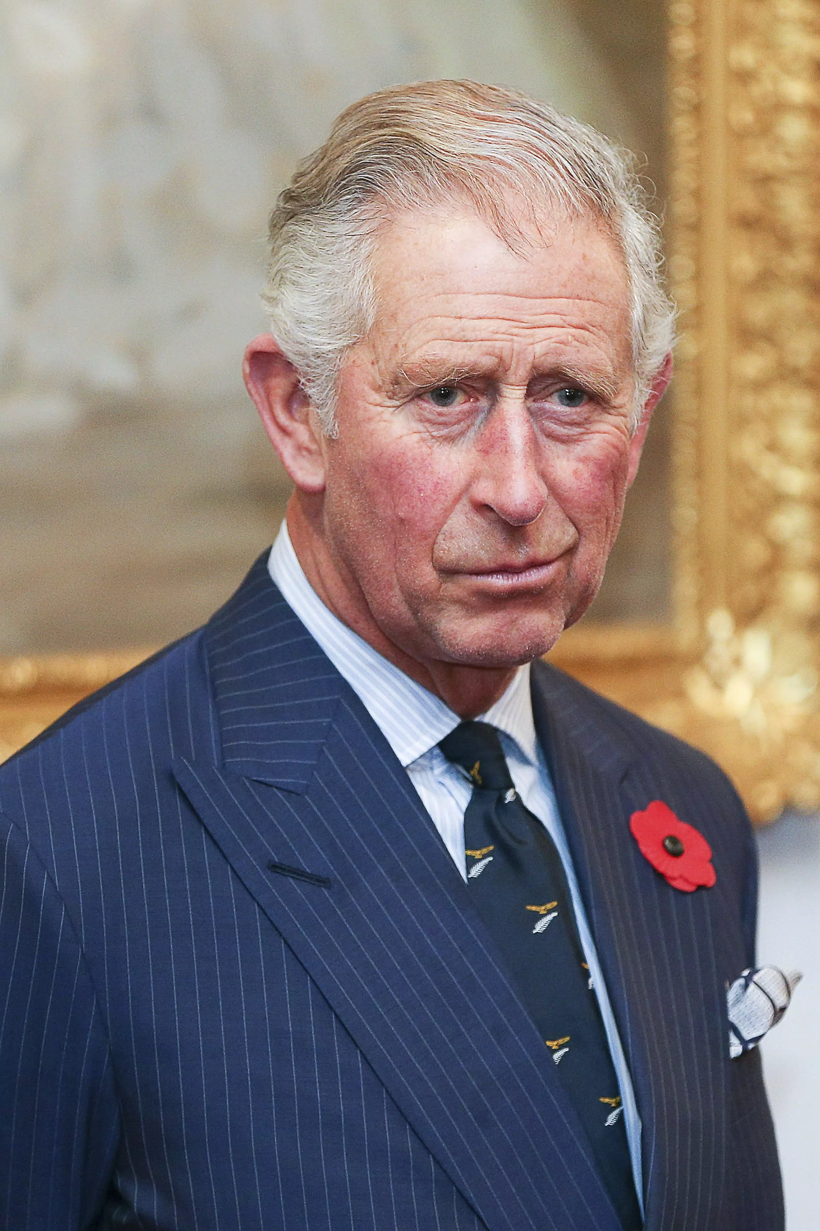 prince charles photographed with a serious gesture