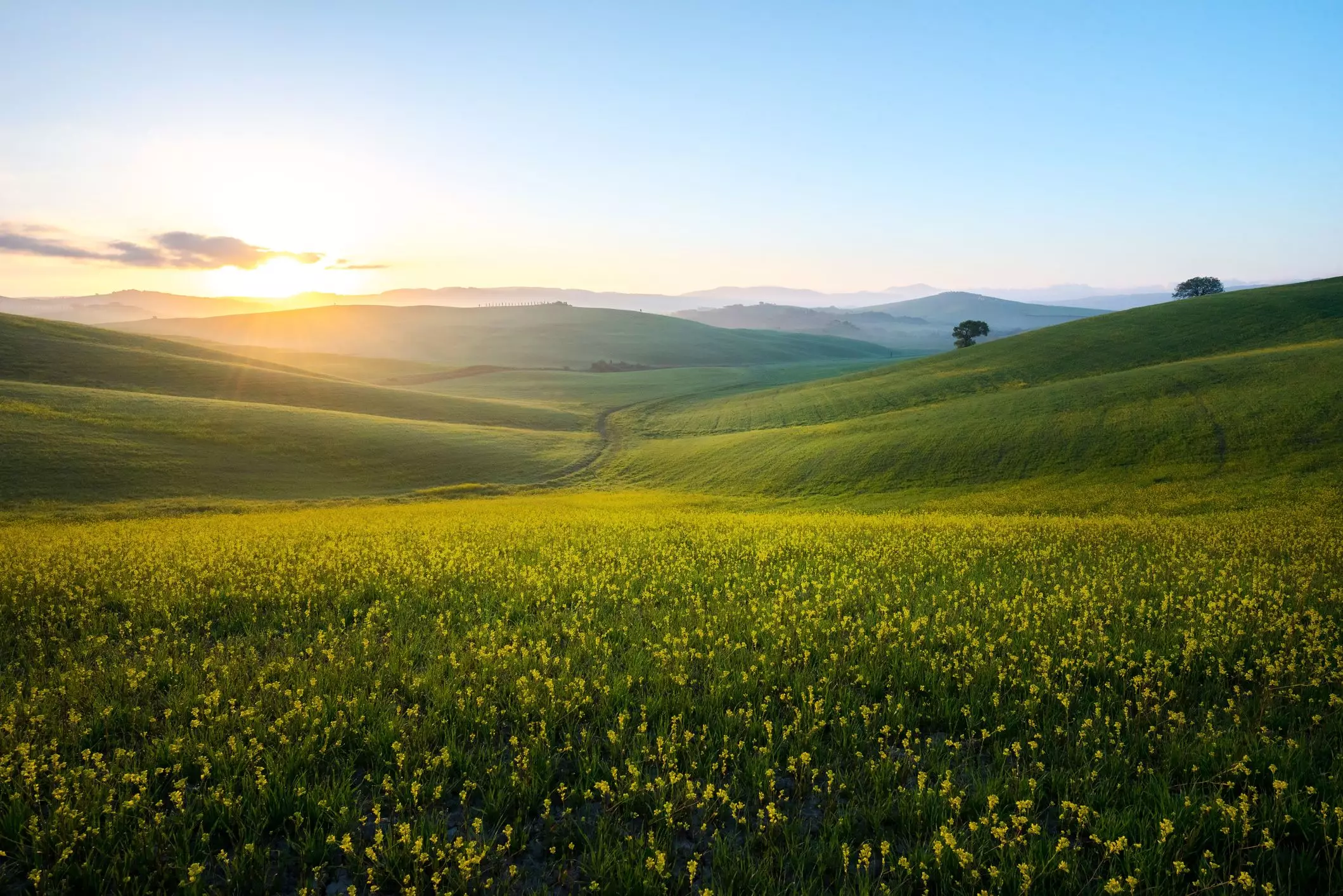 campagna in toscana, italia ellees