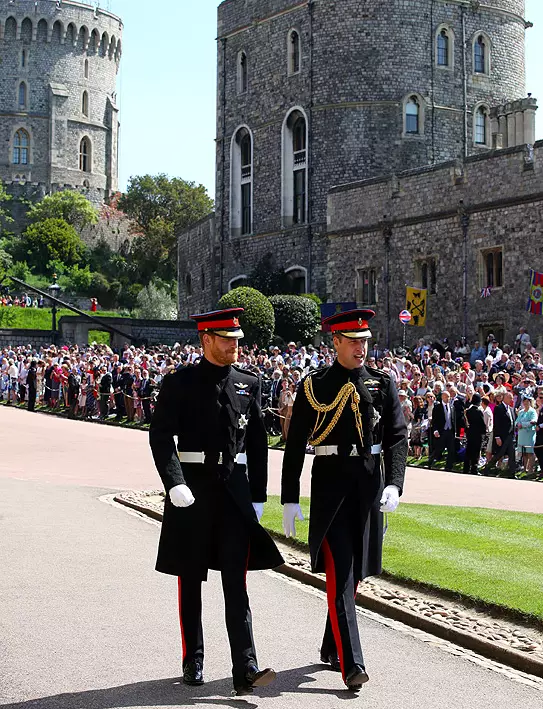 prens harry ve william